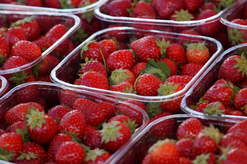 OPP Film - Oriented Polypropylene for Packaging Solutions