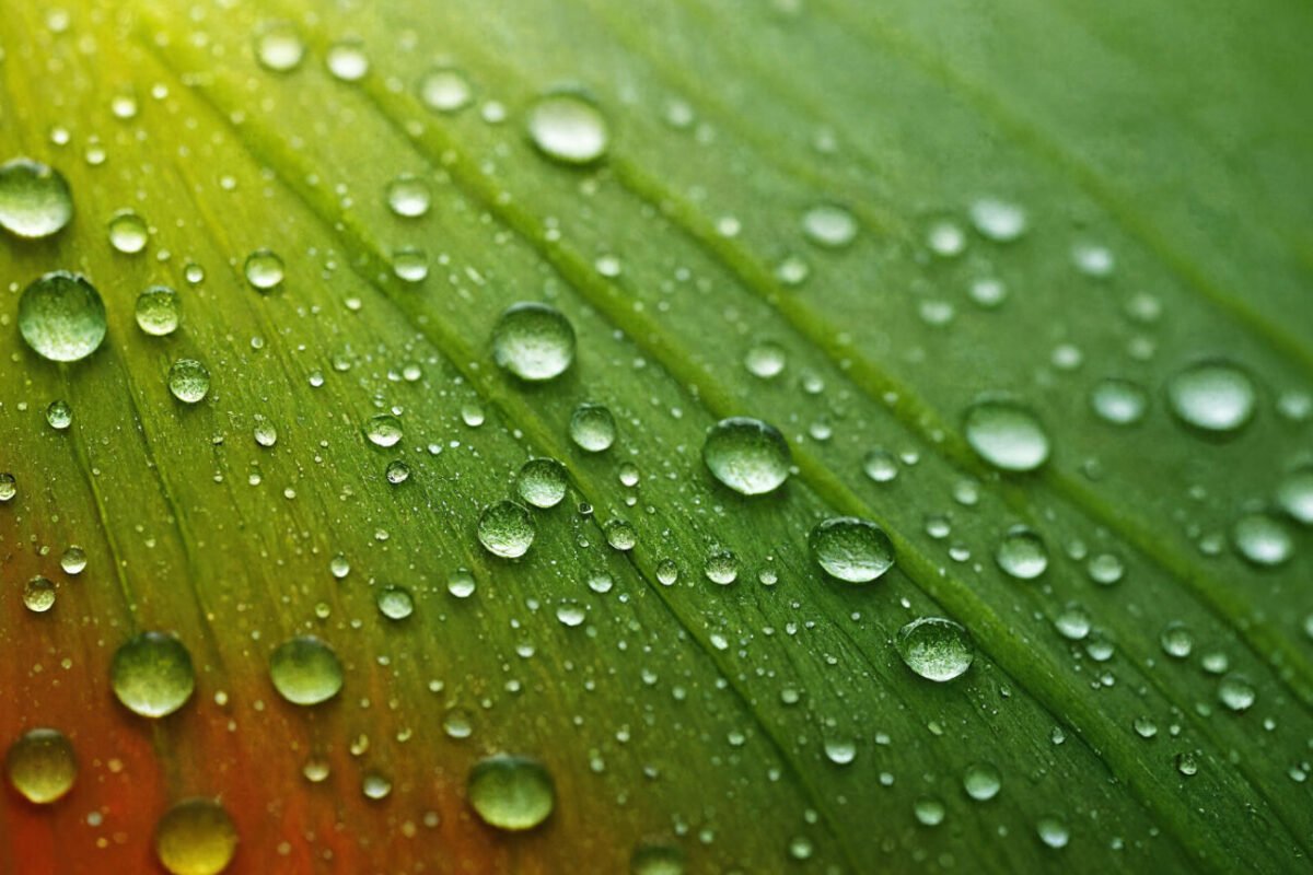 Melinex® film converting – Efficient solutions for your projects