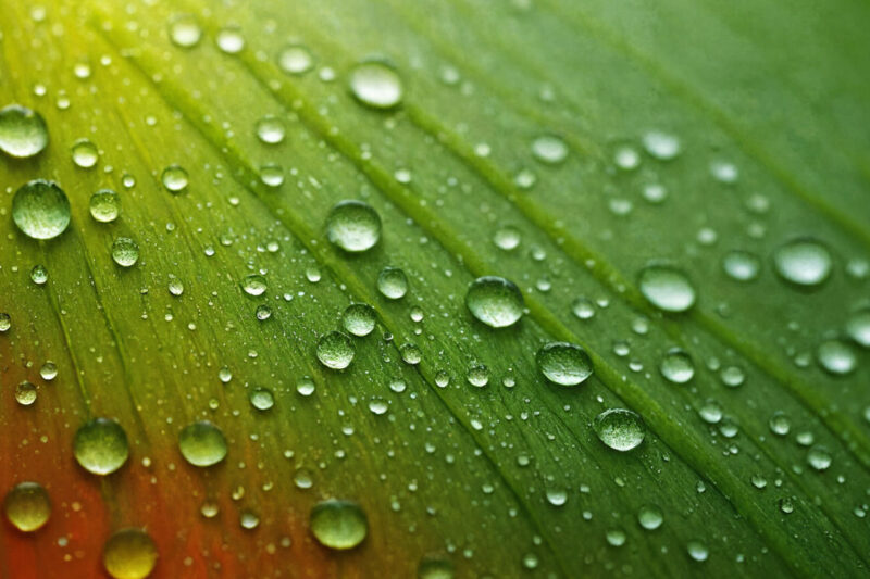 Lumirror polyester film: properties and applications | Pütz Folien